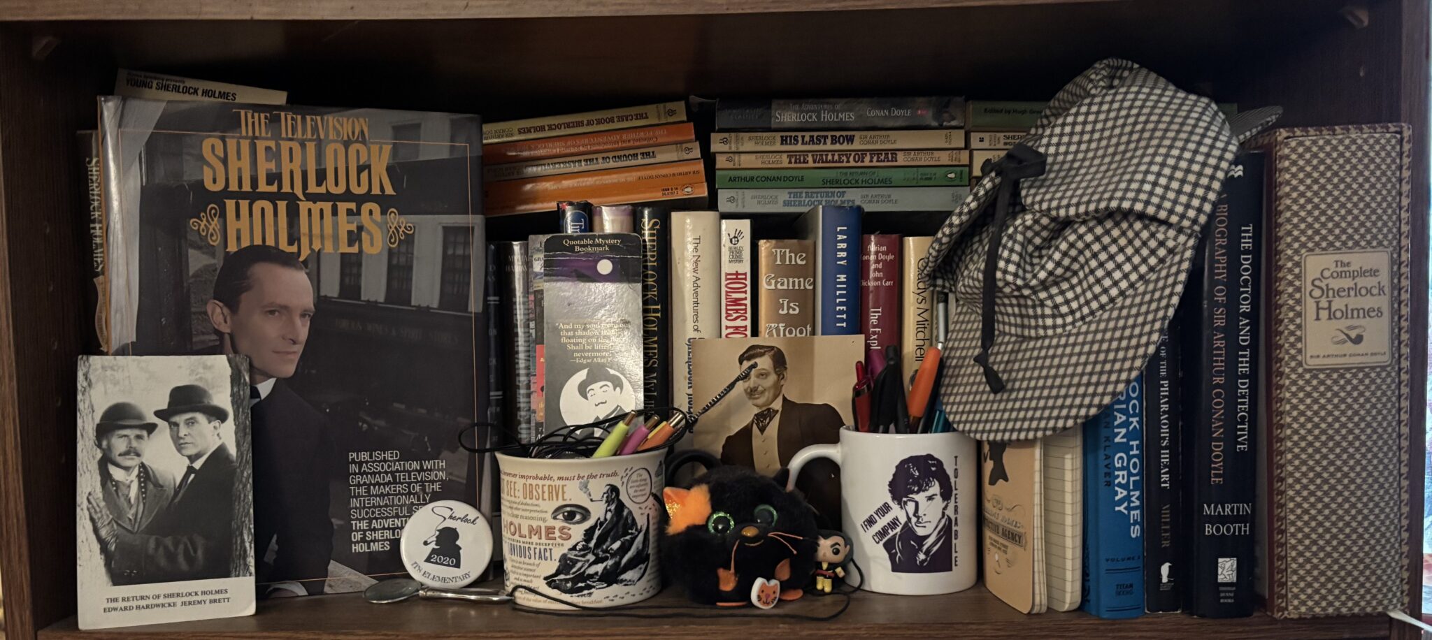 Author Lorie Lewis Ham and the Importance of Sherlock Holmes - Jeri ...